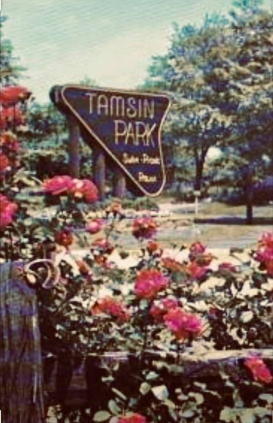 Tamsin Park - Nordonia Hills News